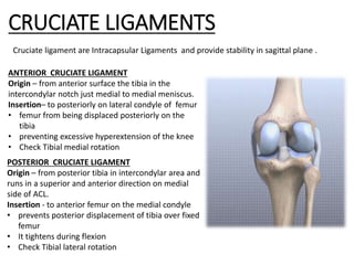biomechanic of knee joint | PPTX