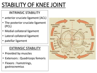 biomechanic of knee joint | PPTX