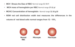 complete blood count.ppt