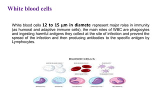 complete blood count.ppt