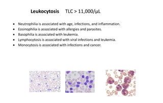 complete blood count.ppt