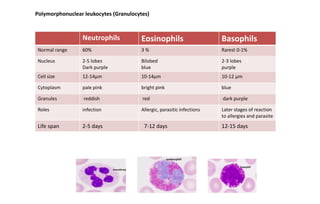complete blood count.ppt