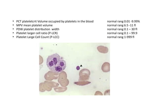 complete blood count.ppt