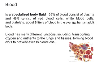 complete blood count.ppt