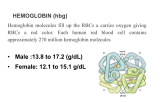 complete blood count.ppt