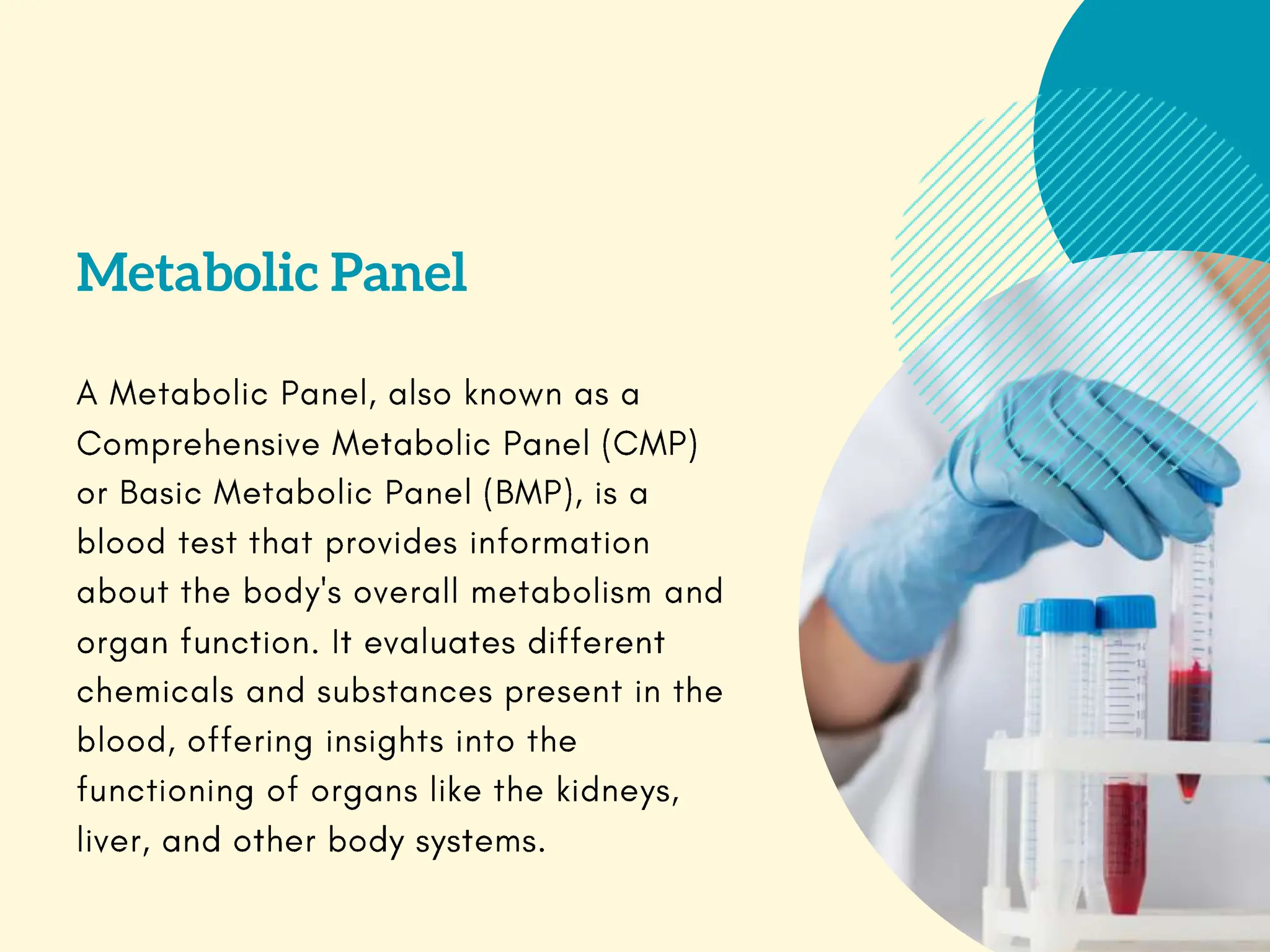 Differences between a complete blood count (CBC), lipid panel, and ...