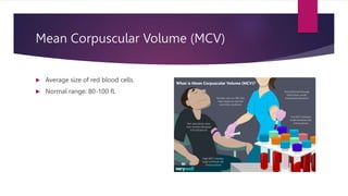 Complete Blood Count (CBC) or Full Blood Count (FBC) | PPTX