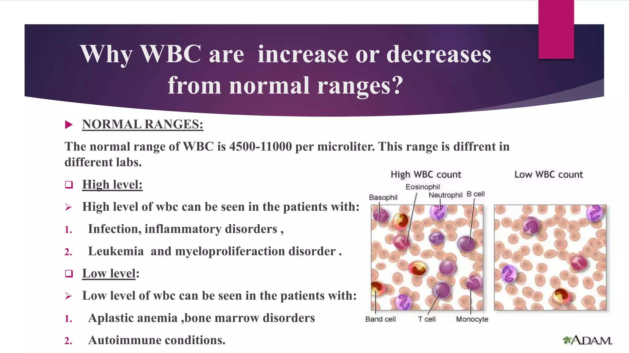 Complete blood count test(CBC) | PPTX