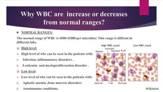 Complete blood count test(CBC) | PPT