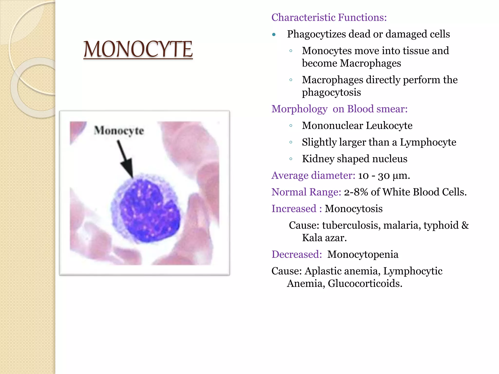 Basic Hematology | PPTX