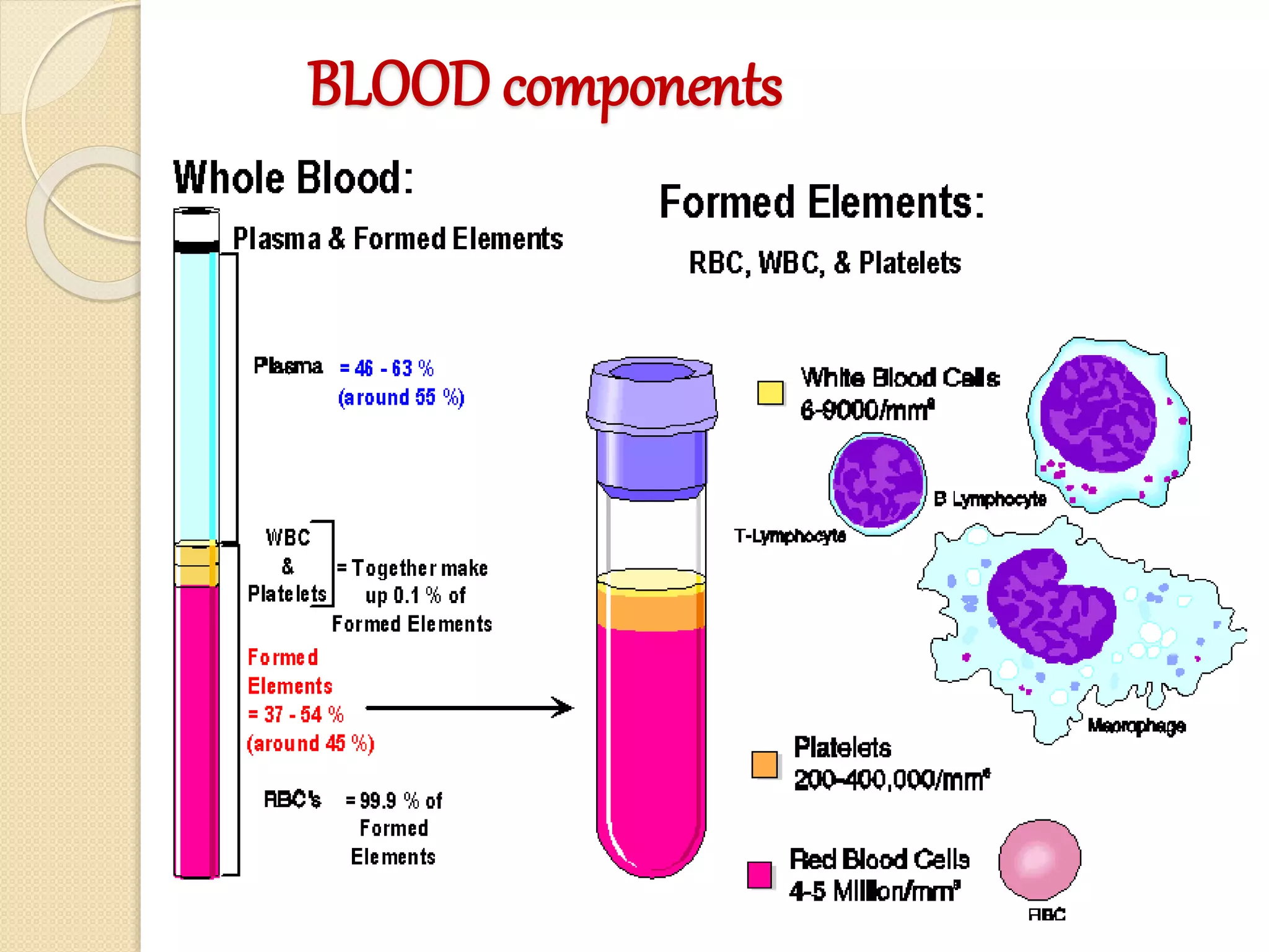 Basic Hematology | PPTX