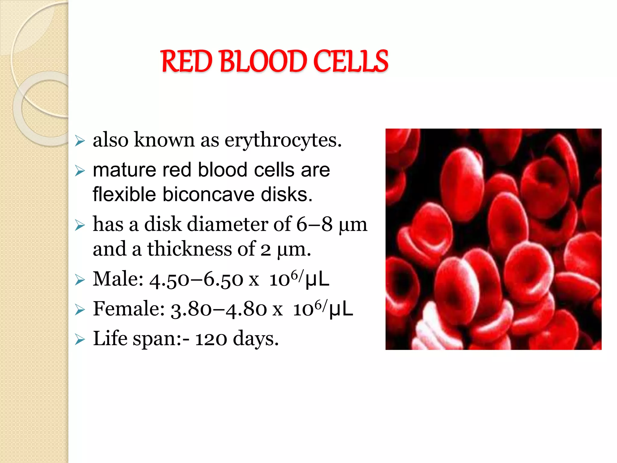 Basic Hematology | PPTX