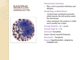 Basic Hematology | PPTX