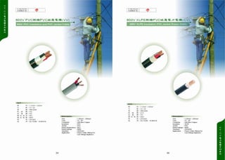Complete catalogue for cable (By Shen Tai Electric Cable Co., Ltd) | PDF