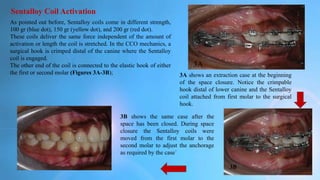 Complete clinical orthodontics by mahadia saad ALLAFY | PPT