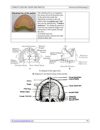Complete denture theory and practice 2011. | PDF
