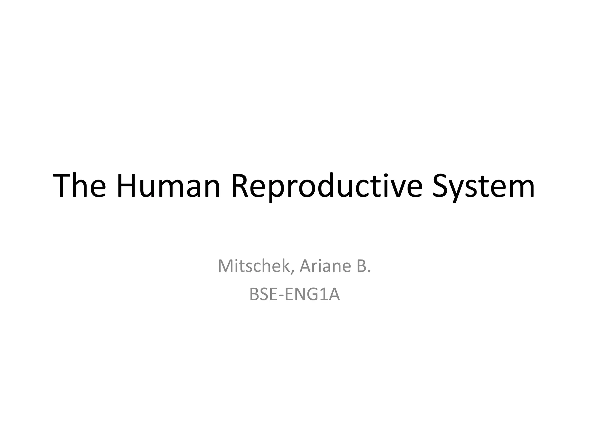human reproductive system | PPTX | Reproductive Health | Diseases and ...