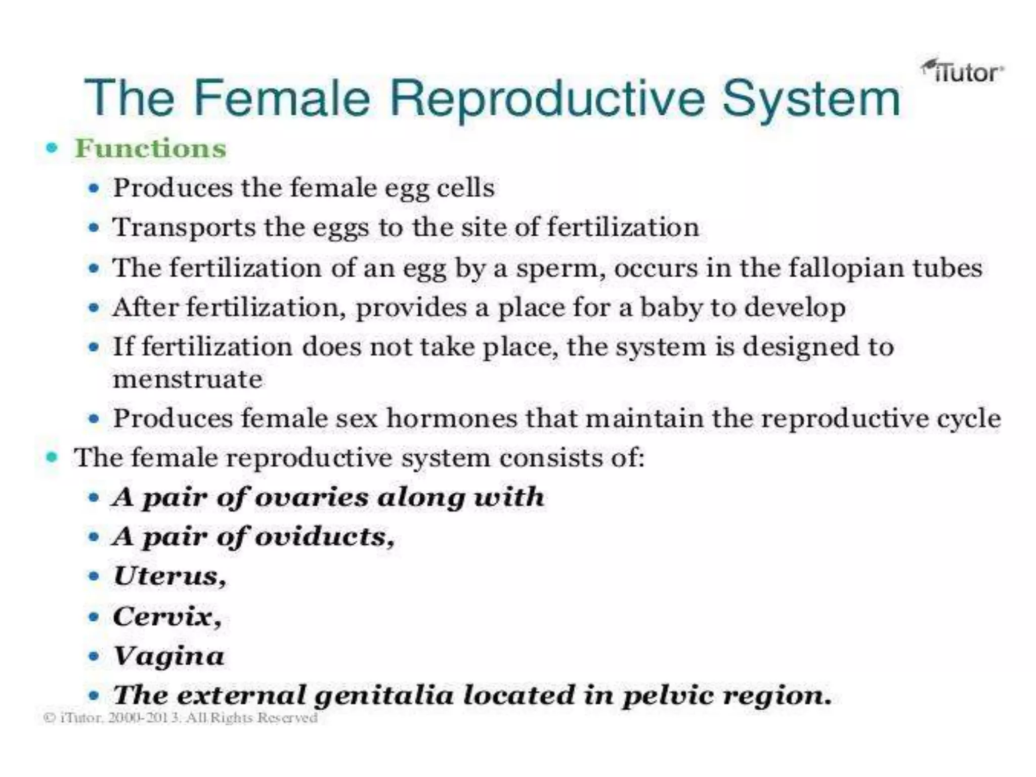 human reproductive system | PPTX | Reproductive Health | Diseases and Conditions