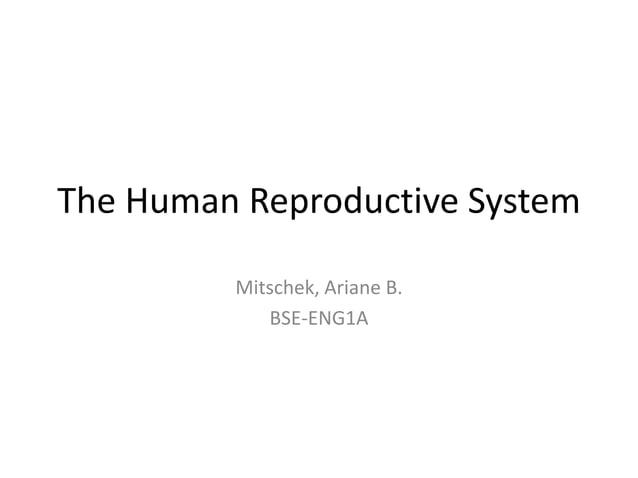 human reproductive system | PPTX | Reproductive Health | Diseases and Conditions