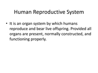 human reproductive system | PPT