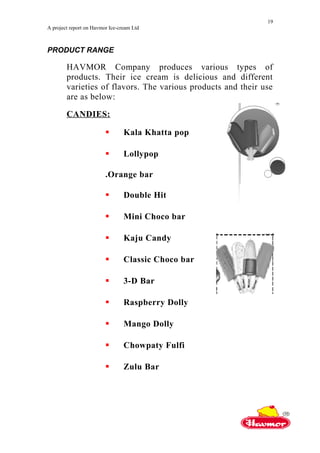 Havmor Complete report made by abhinav | DOC