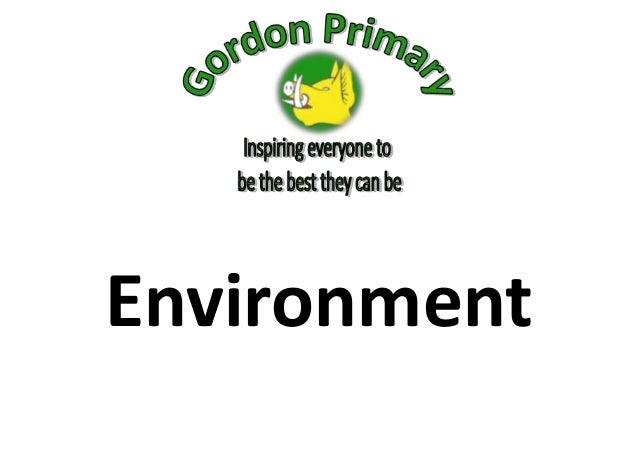 Gordon Primary School Improvement 2018 - 2019
