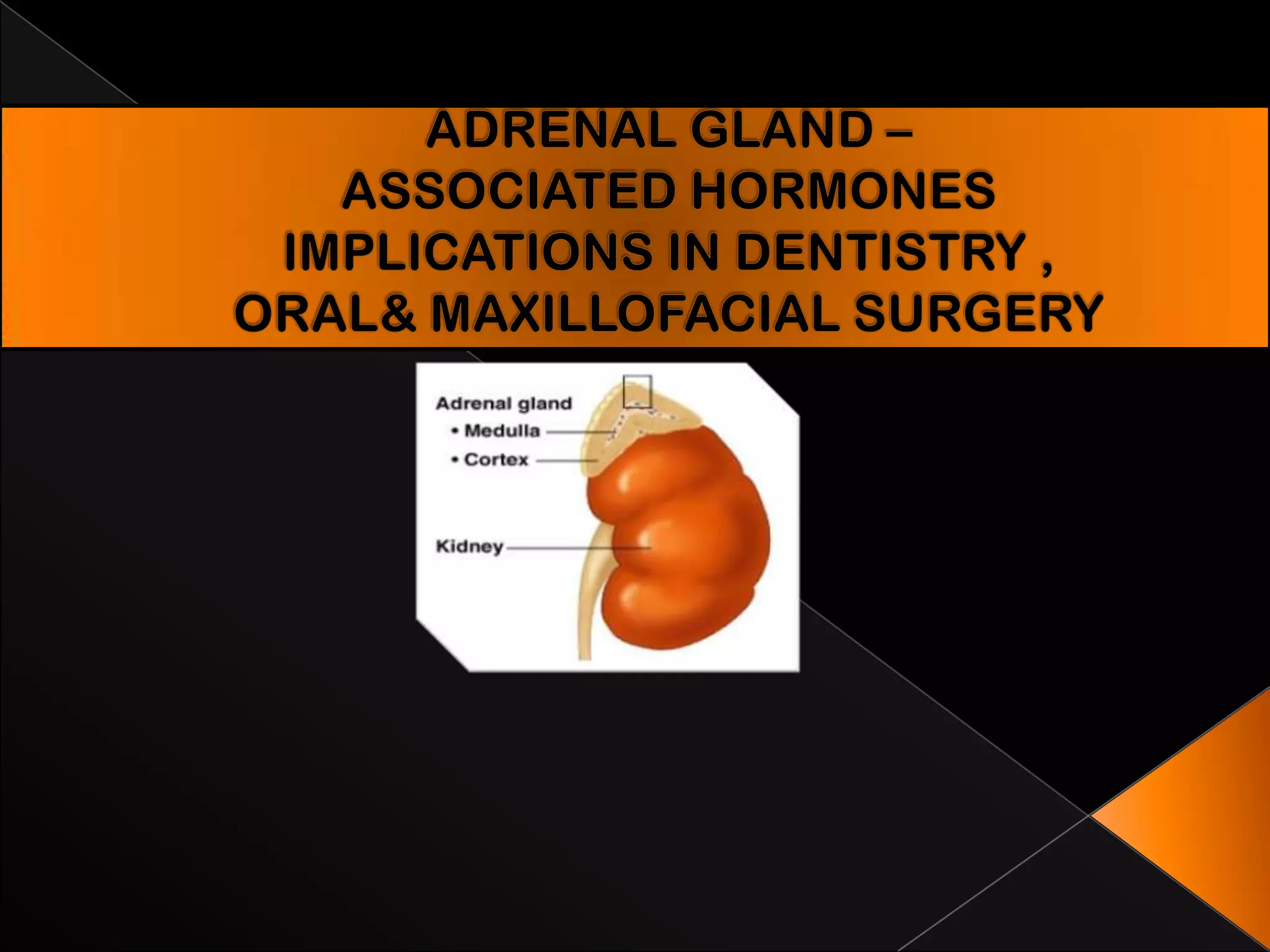 ADRENAL GLAND | PPT