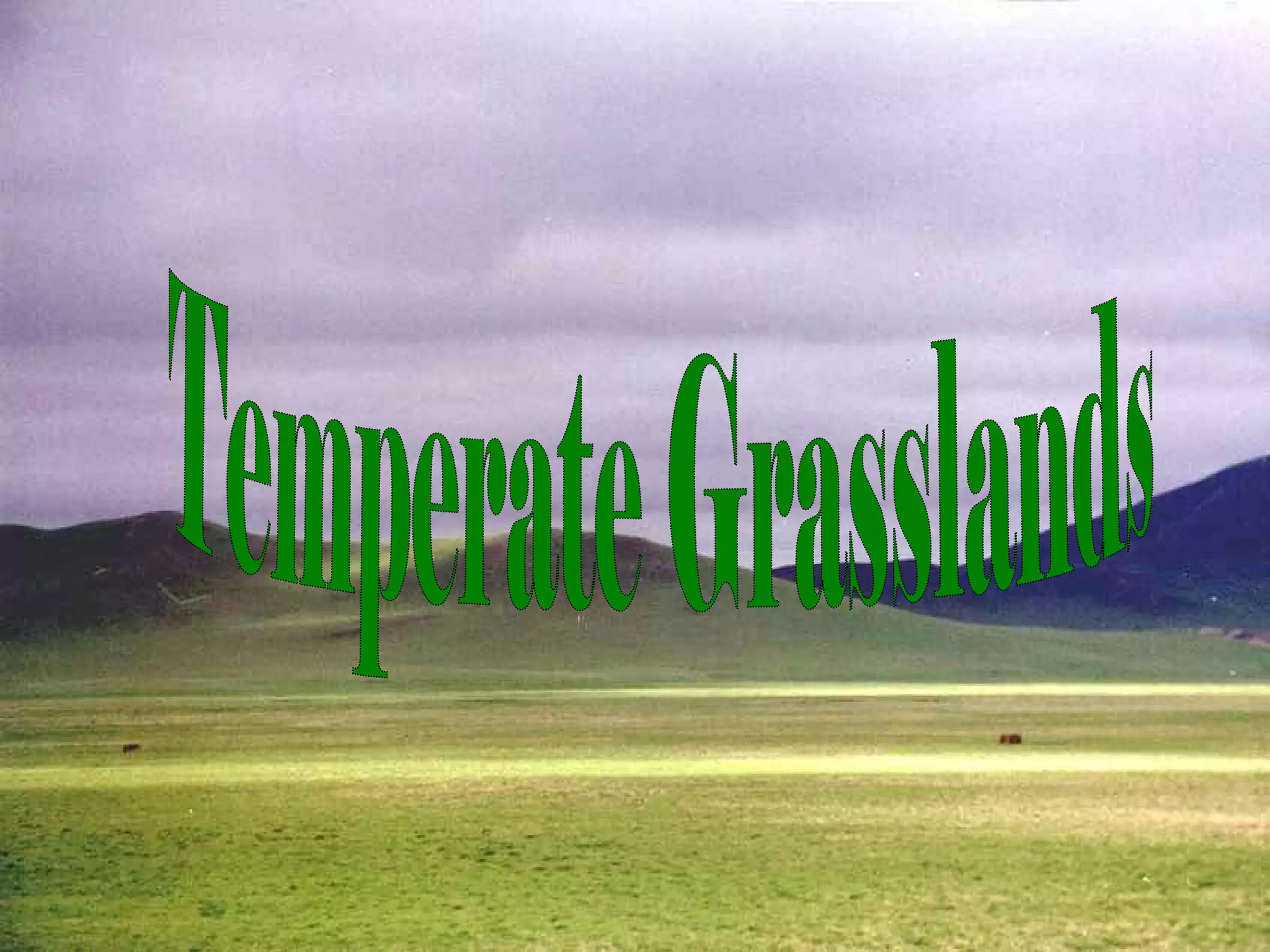 Completed temperate grassland presentation | PPT