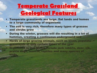 Completed temperate grassland presentation | PPT | Gardening | Home ...