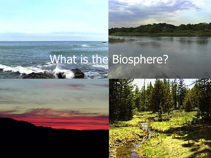 Biosphere Definition