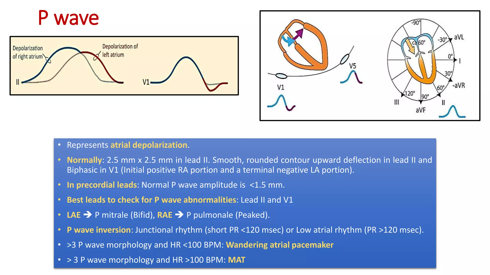 Complete EKG Interpretation Course | PPTX