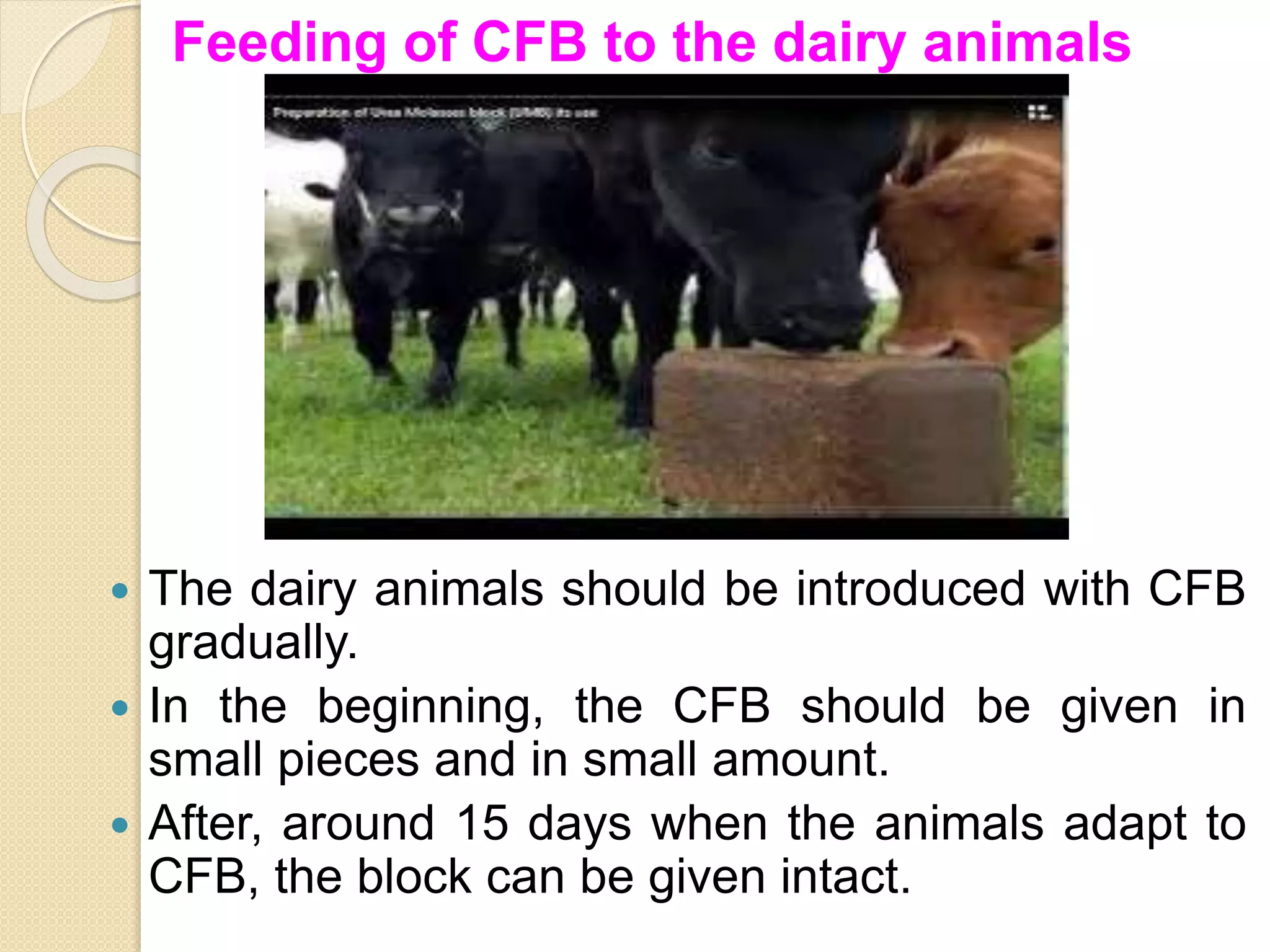 Complete feed block.pptx