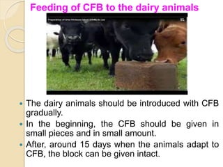 Complete feed block.pptx