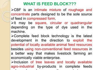 Complete feed block.pptx