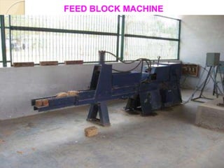 Complete feed block.pptx