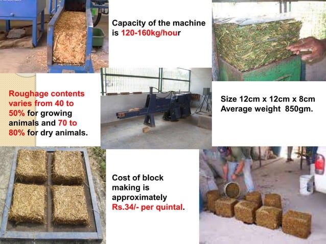 Complete feed block.pptx