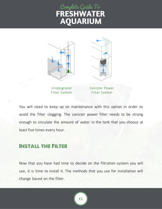 Complete Guide to Freshwater Aquarium | PDF