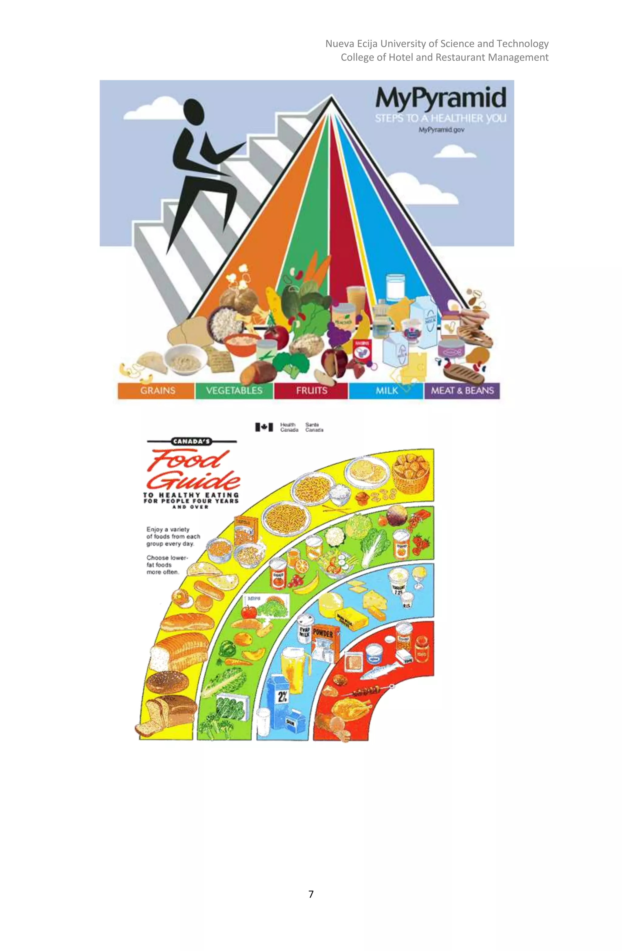 MEAL MANAGEMENT | DOCX