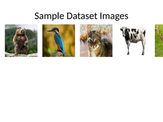 Complete_Image_Classification_Techniques_Final.pptx