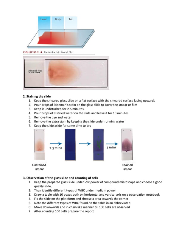 Basic Haematology practical Lab manual | PDF
