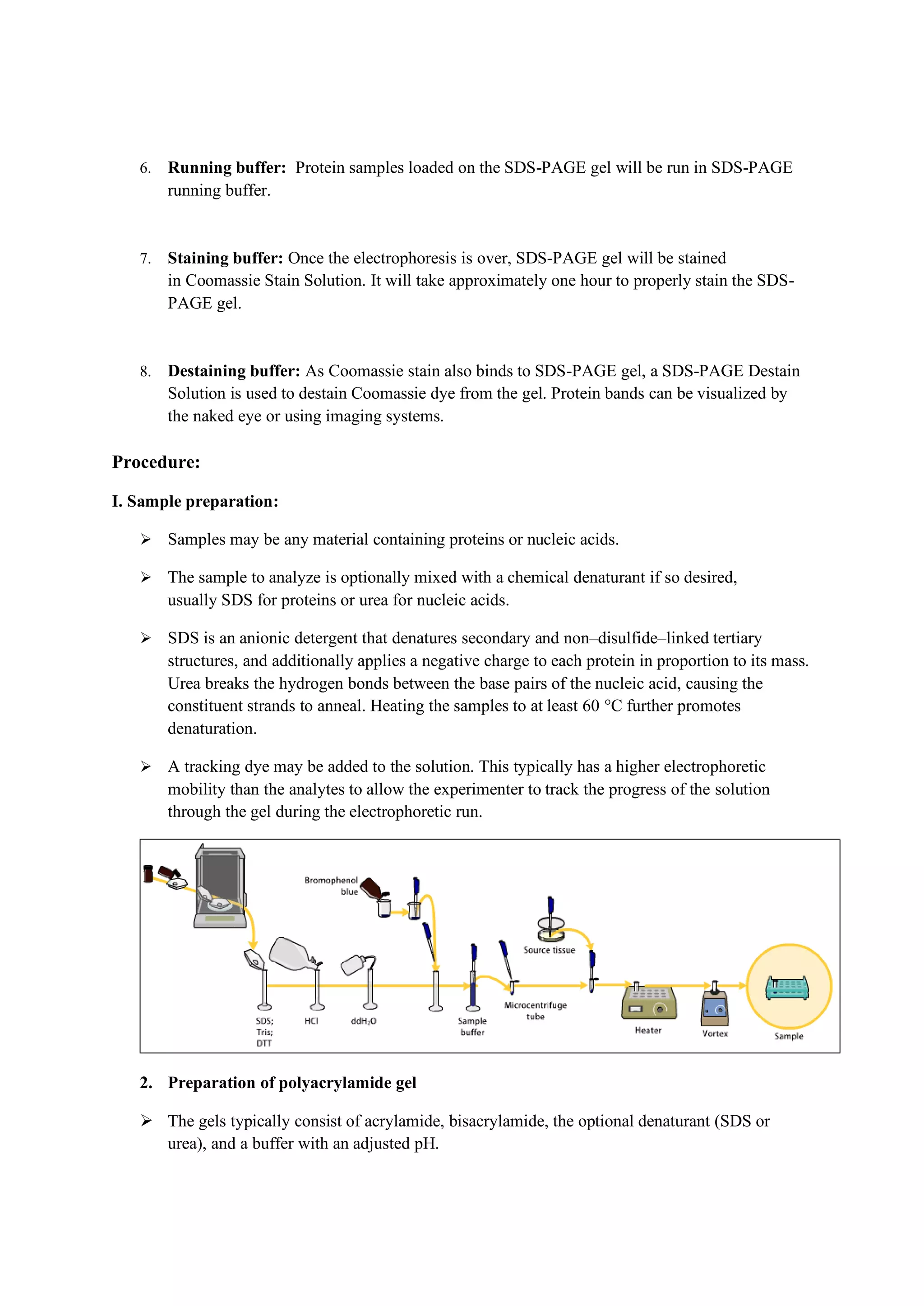 Immunology & Bacterial serology Lab manual | PDF