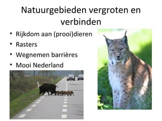 Complete natuur | PPT