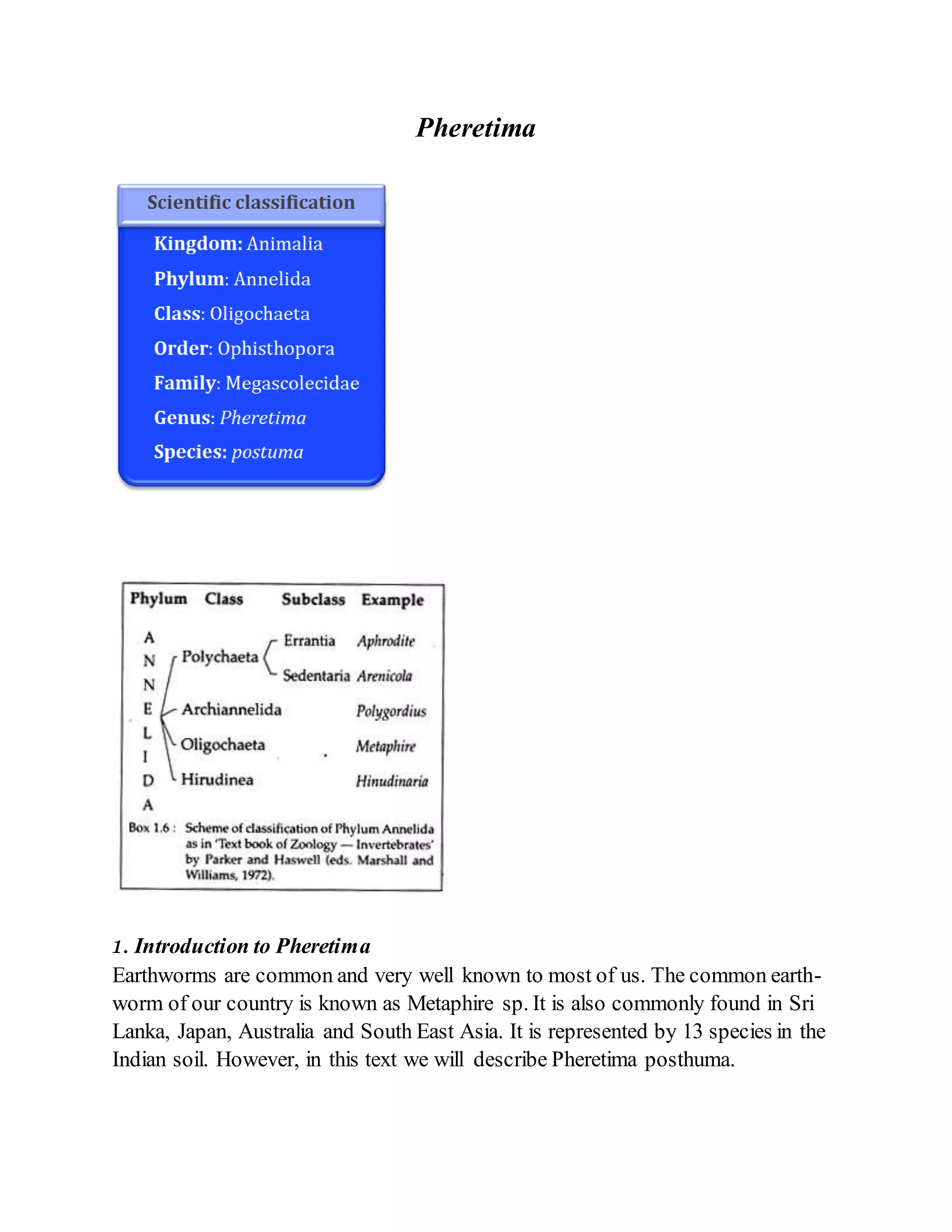 Complete notes on earthworm 11 | DOCX