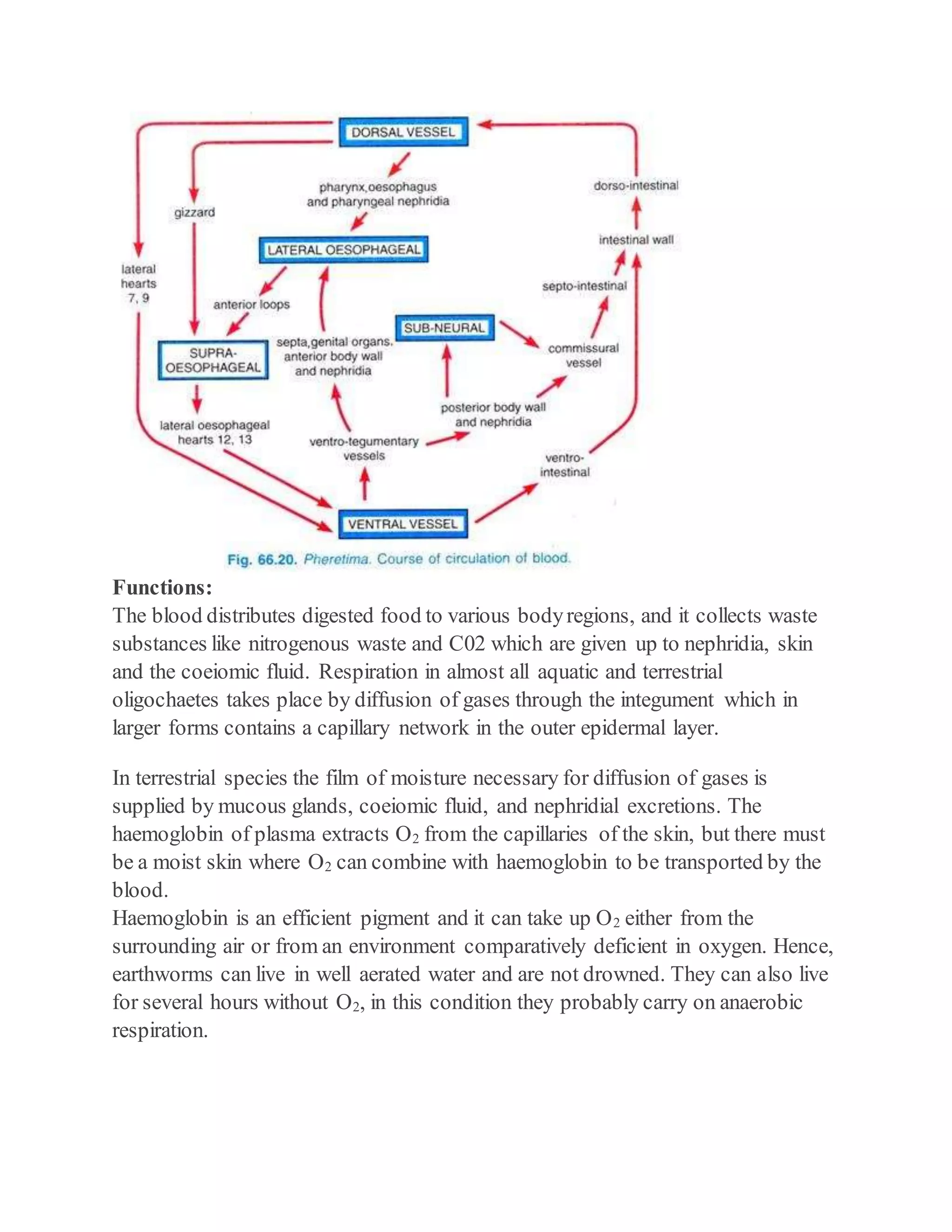 Complete notes on earthworm 11 | DOCX