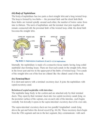 Complete notes on earthworm 11 | DOCX