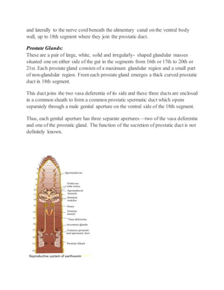 Complete notes on earthworm 11 | DOCX