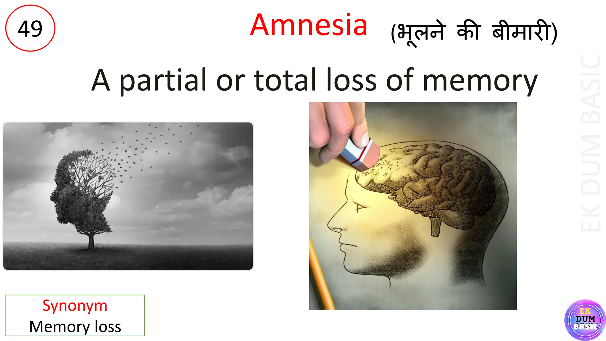 complete One word substitution (black book).pdf