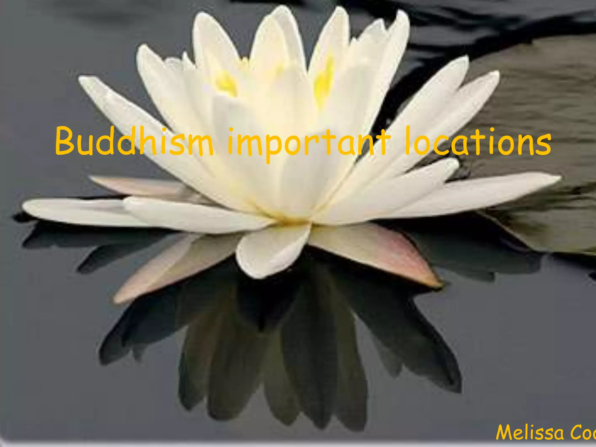 Complete Ppt Buddhism | PPTX