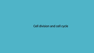 cell cycel , and its stages | PPT