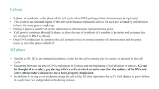 cell cycel , and its stages | PPT